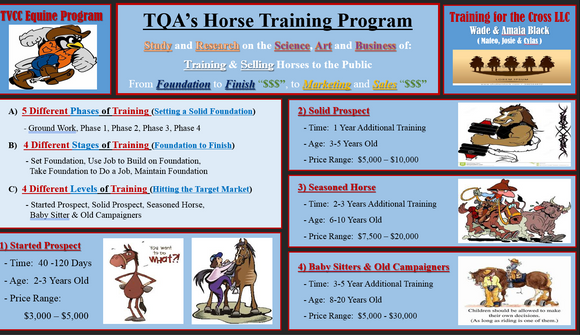Certified Public Horse Trainer – Training Quality Assurance